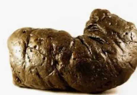 Check my poo, rate my poo. Library of Human Poops, Shits, and Feces Images.